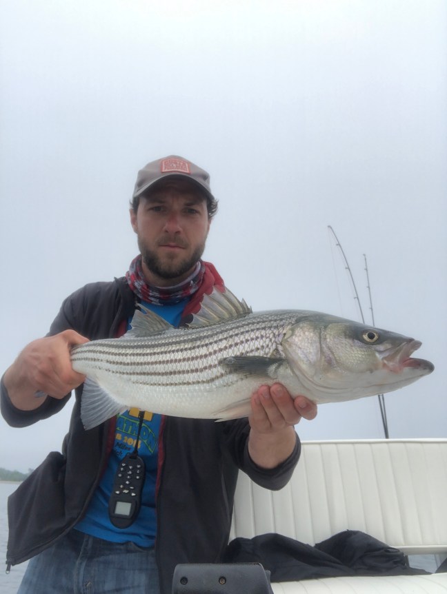 American Chaos, Fish Don’t Seem to Mind – Norwalk Islands Fishing